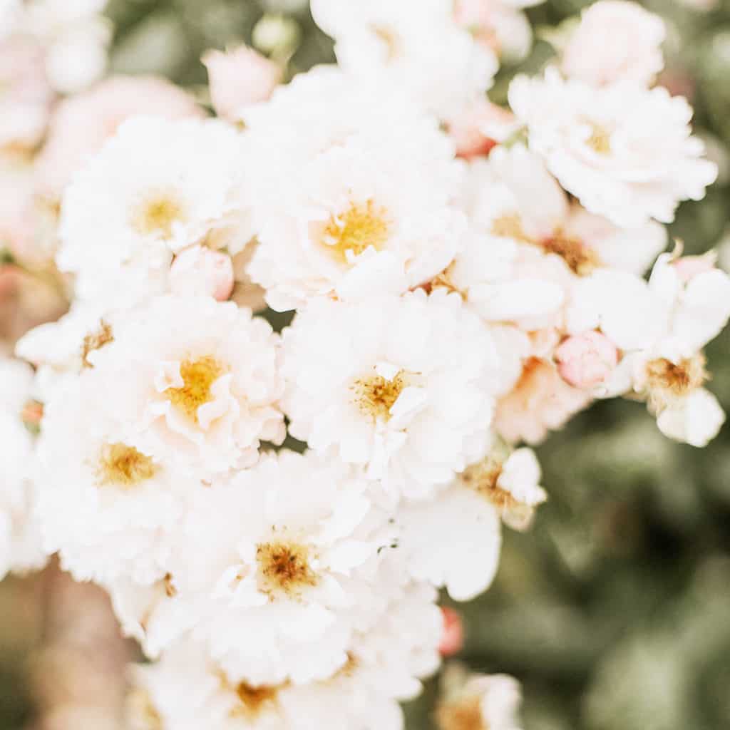 50 Beautiful Quotes about Art & Creativity