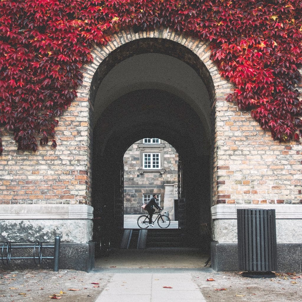 Understanding INFP Shadow Functions