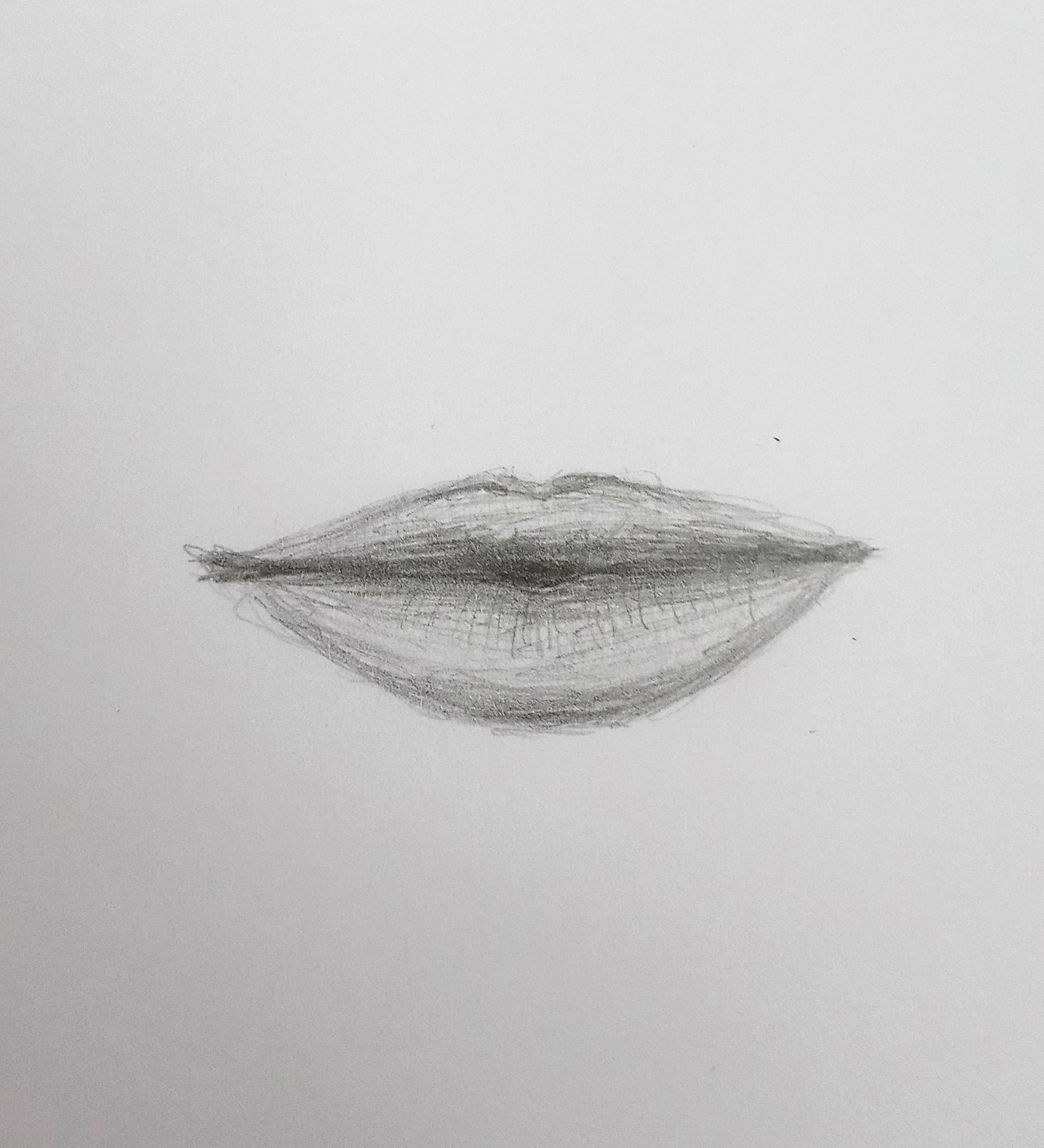 How to Draw Realistic Lips Step by Step