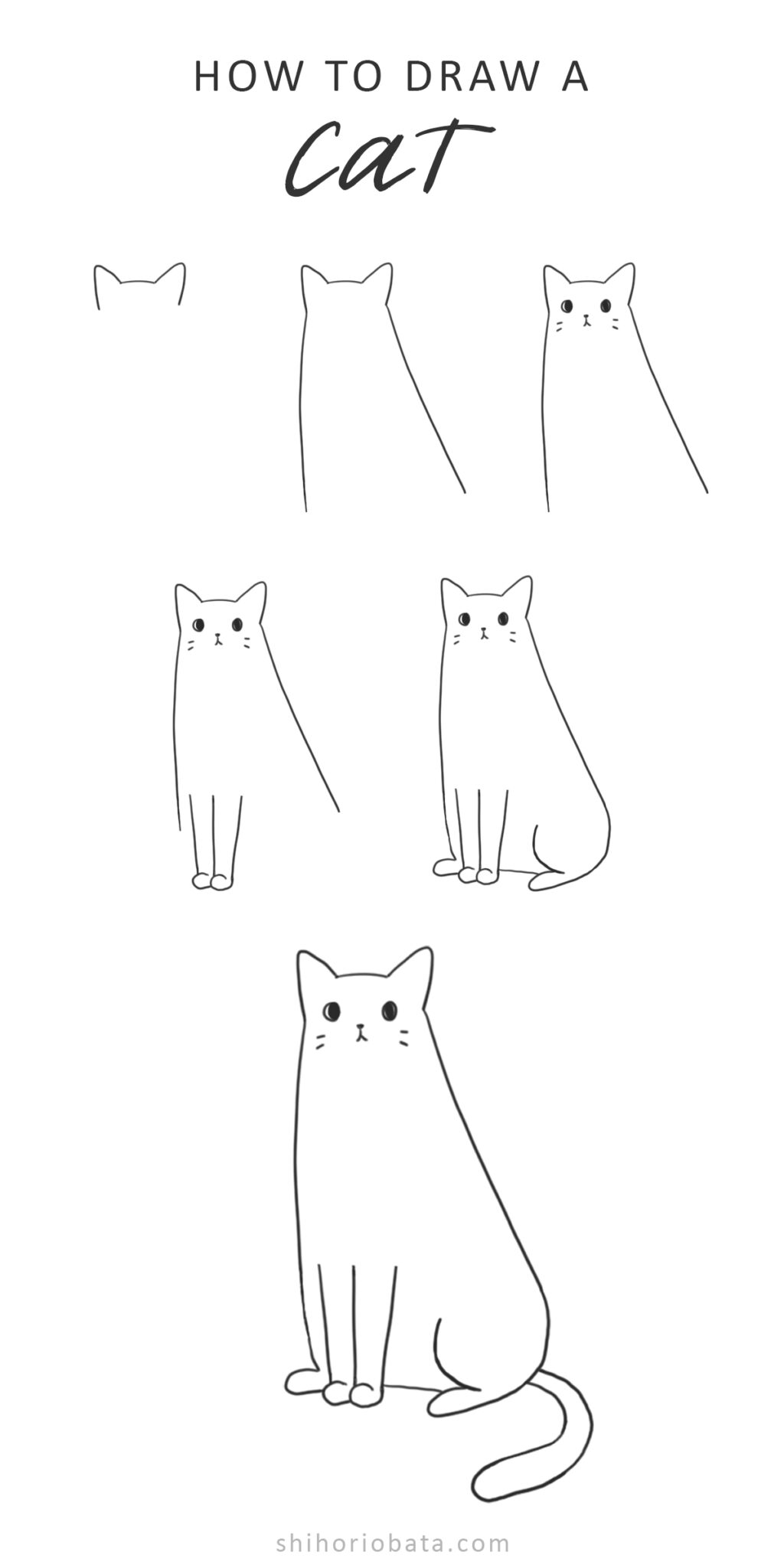 How to Draw a Cat: Easy Step by Step Tutorial