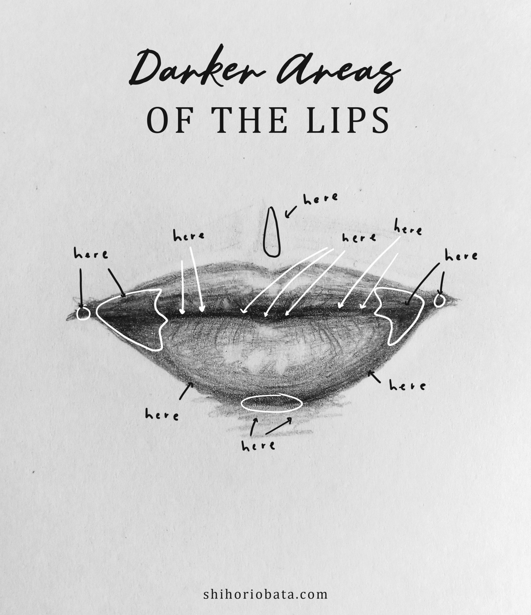 How to Draw Realistic Lips Step by Step