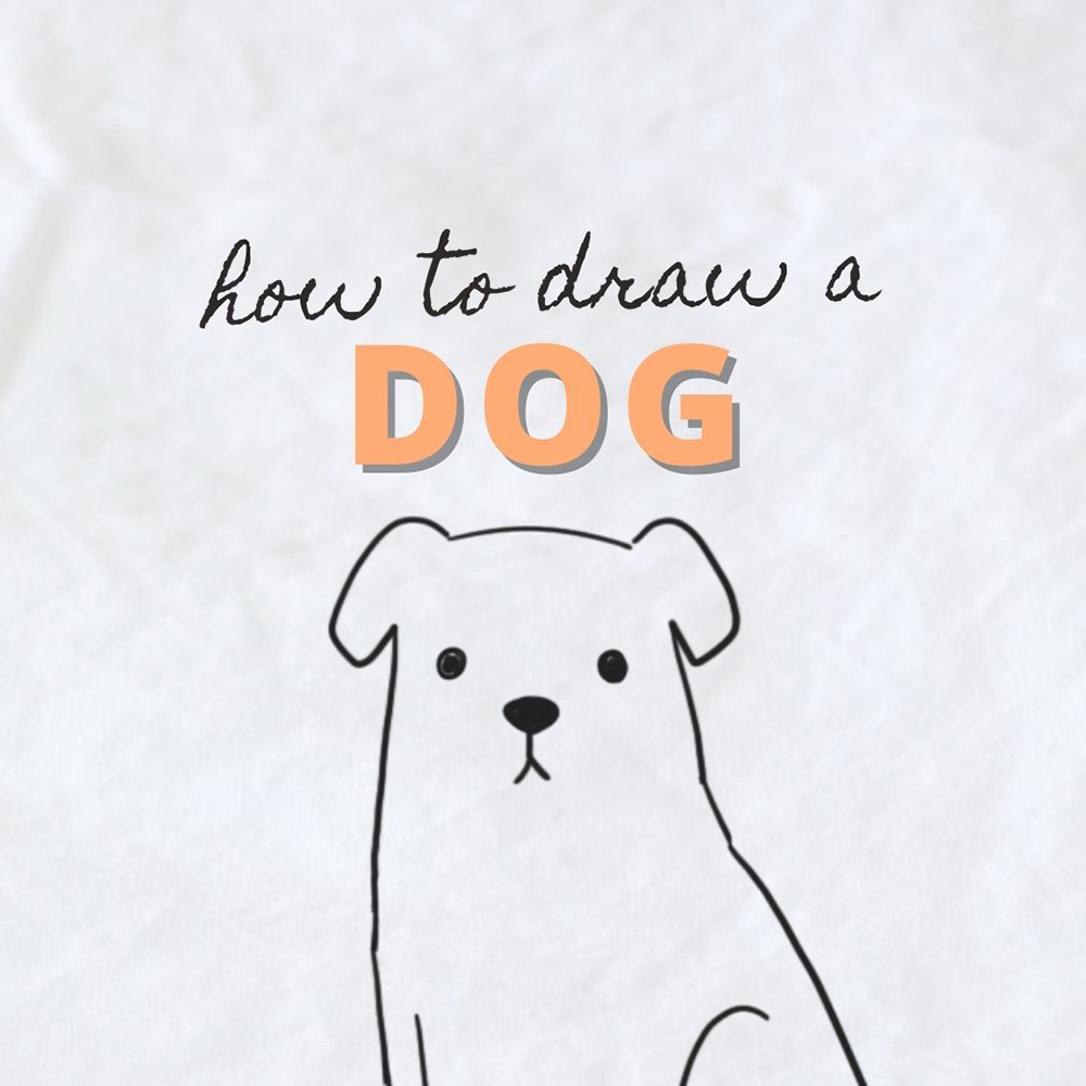How To Draw A Dog Easy Step By Step Tutorial How To Draw A Dog Easy Step By Step Tutorial