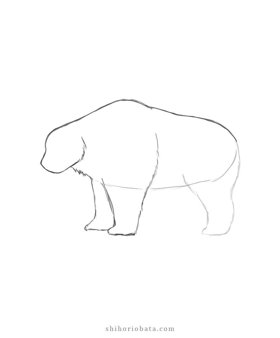How to Draw a Bear: An Easy Step by Step Tutorial