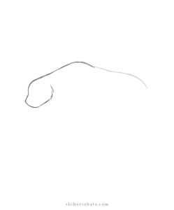 How to Draw a Bear: An Easy Step by Step Tutorial