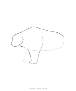 How to Draw a Bear: An Easy Step by Step Tutorial