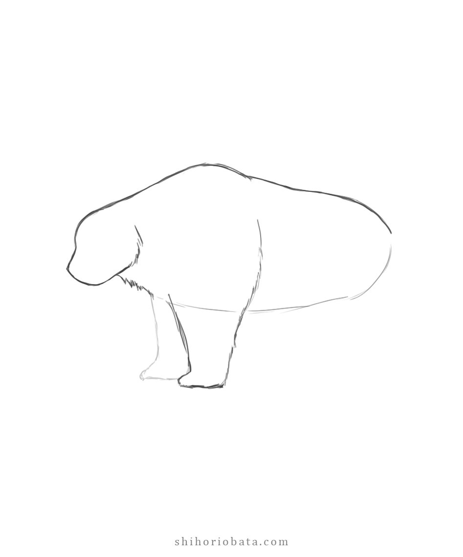 How to Draw a Bear: An Easy Step by Step Tutorial