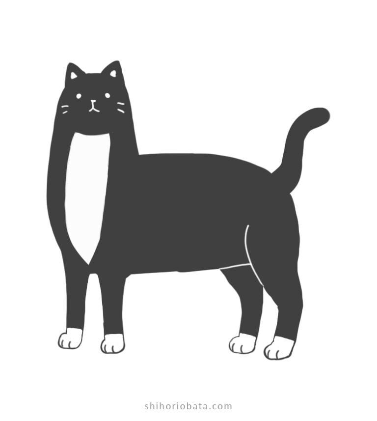 How to Draw a Cat: Easy Step by Step Tutorial