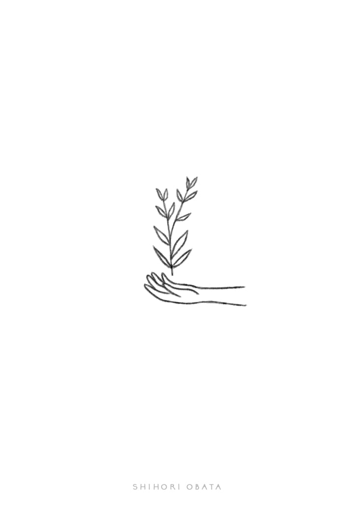 30 Easy Ways to Draw Plants & Leaves