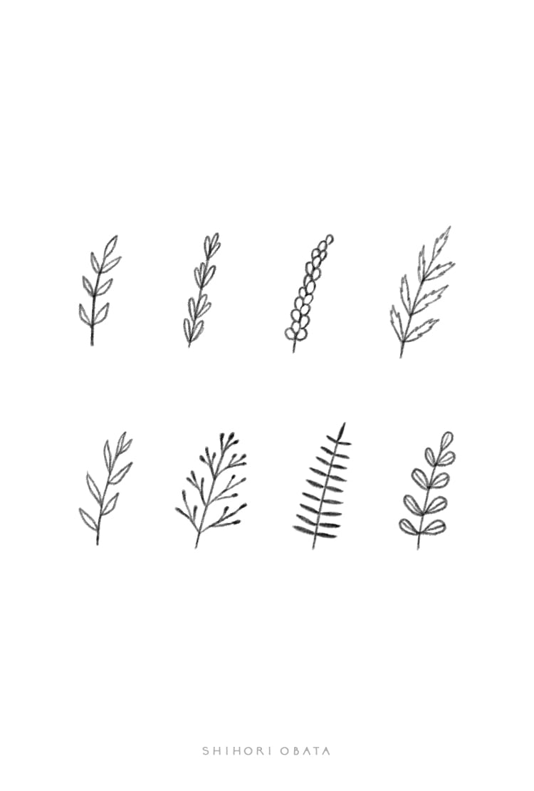 30 Easy Ways to Draw Plants & Leaves