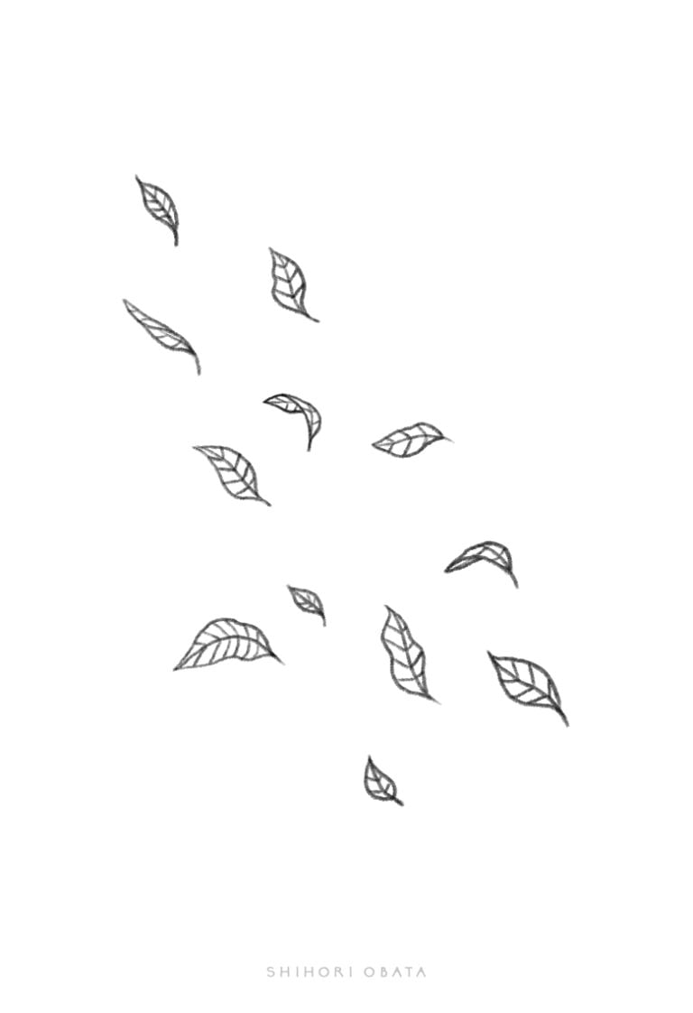 30 Easy Ways to Draw Plants & Leaves