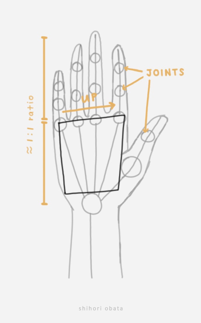 How to Draw Hands: Easy Simple Tutorial