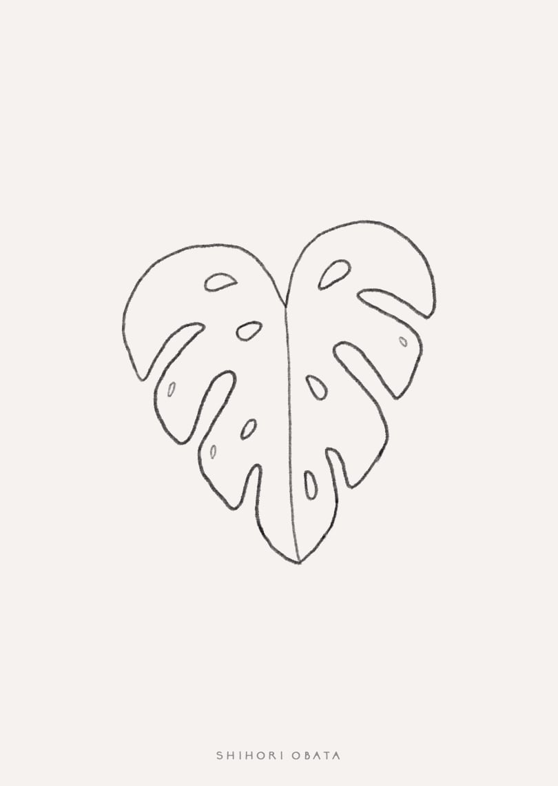 30 Easy Ways to Draw Plants & Leaves