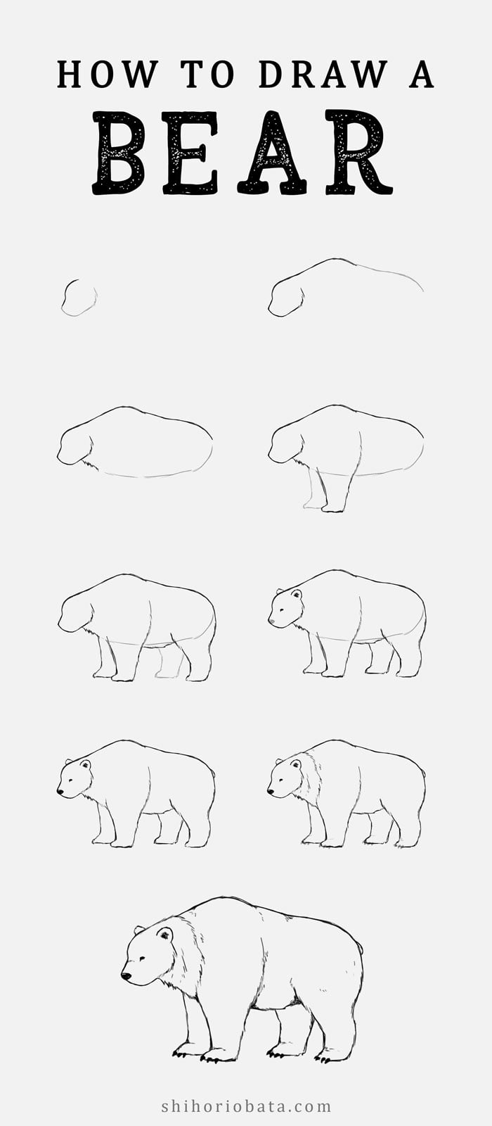 25 Cute Easy Bear Drawing Ideas