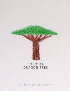 20 Easy Tree Drawing Ideas